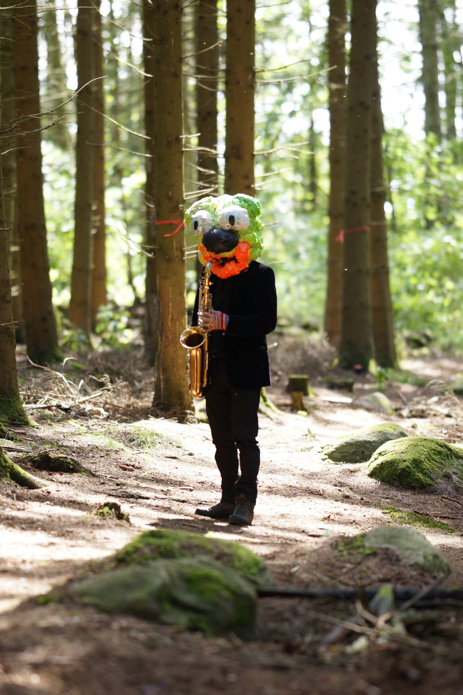 Mikael Ericsson, Harplinge